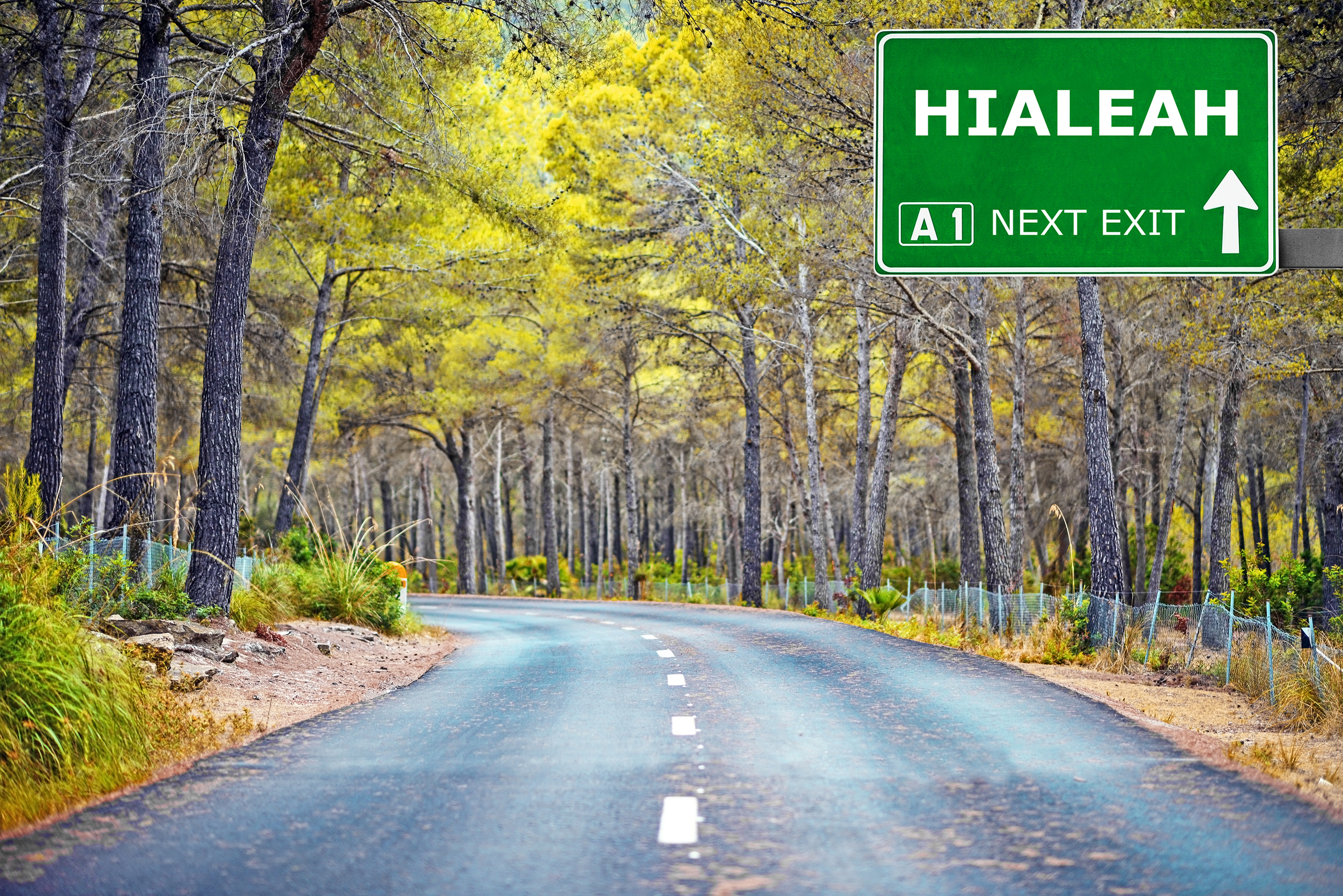 Top Places to Visit in Hialeah, Florida | Living & Lifestyle